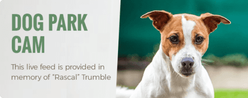 Vet Clinic in Peterborough & Cavan Monaghan, ON | Animal Hospital