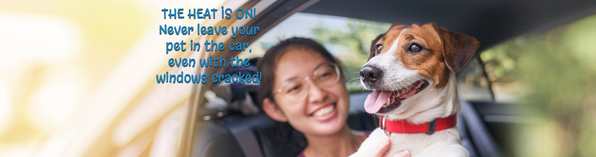 Vet Clinic in Peterborough & Cavan Monaghan, ON | Animal Hospital